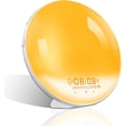 Ideal Gift for Kids/ Heavy Sleepers--Wake Up Light Sunrise Alarm Clock ...