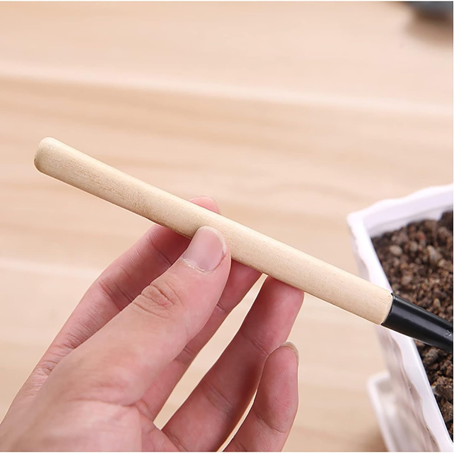 Ideal for easy succulent pot planting transplanting and digging this ...