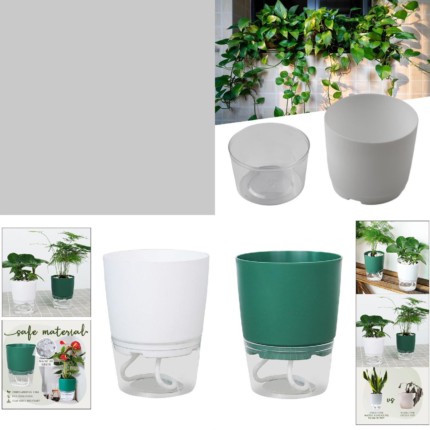 Ideal for your office décor this perfect lazy self-watering double ...