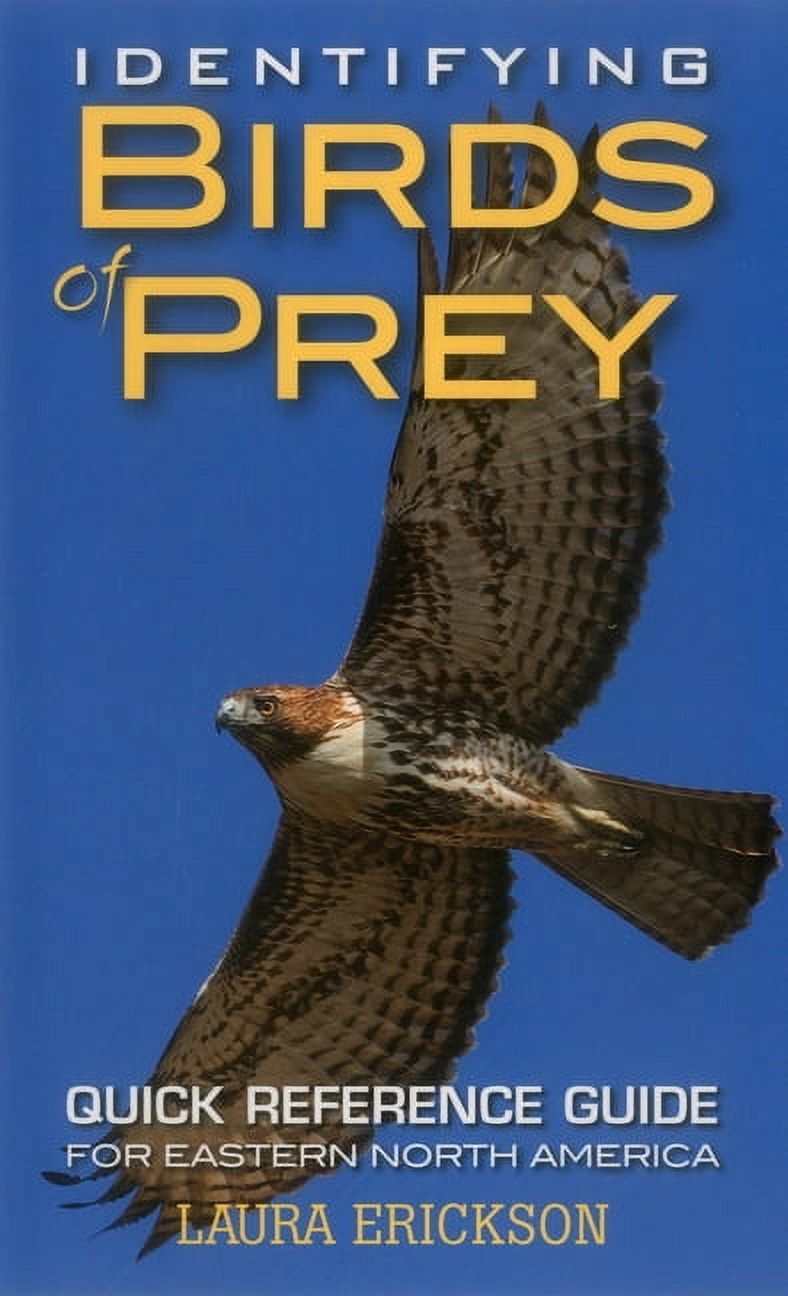 Identifying Birds of Prey : Quick Reference Guide for Eastern North ...