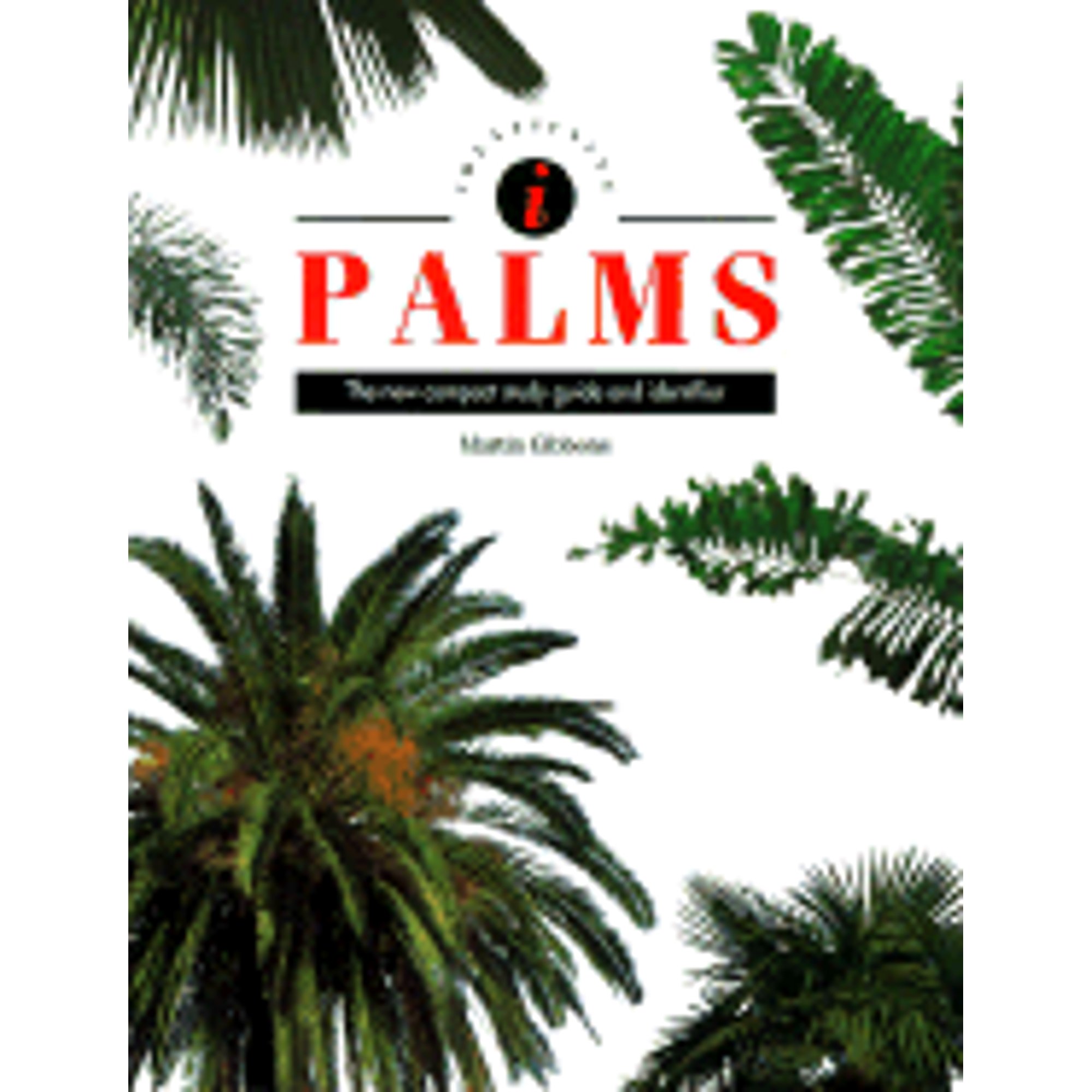 Identifying Palms (Hardcover) by Martin Gibbons - Walmart.com