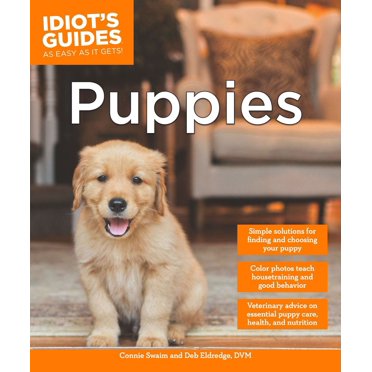 Small Dogs, Big Hearts: A Guide to Caring for Your Little Dog ...