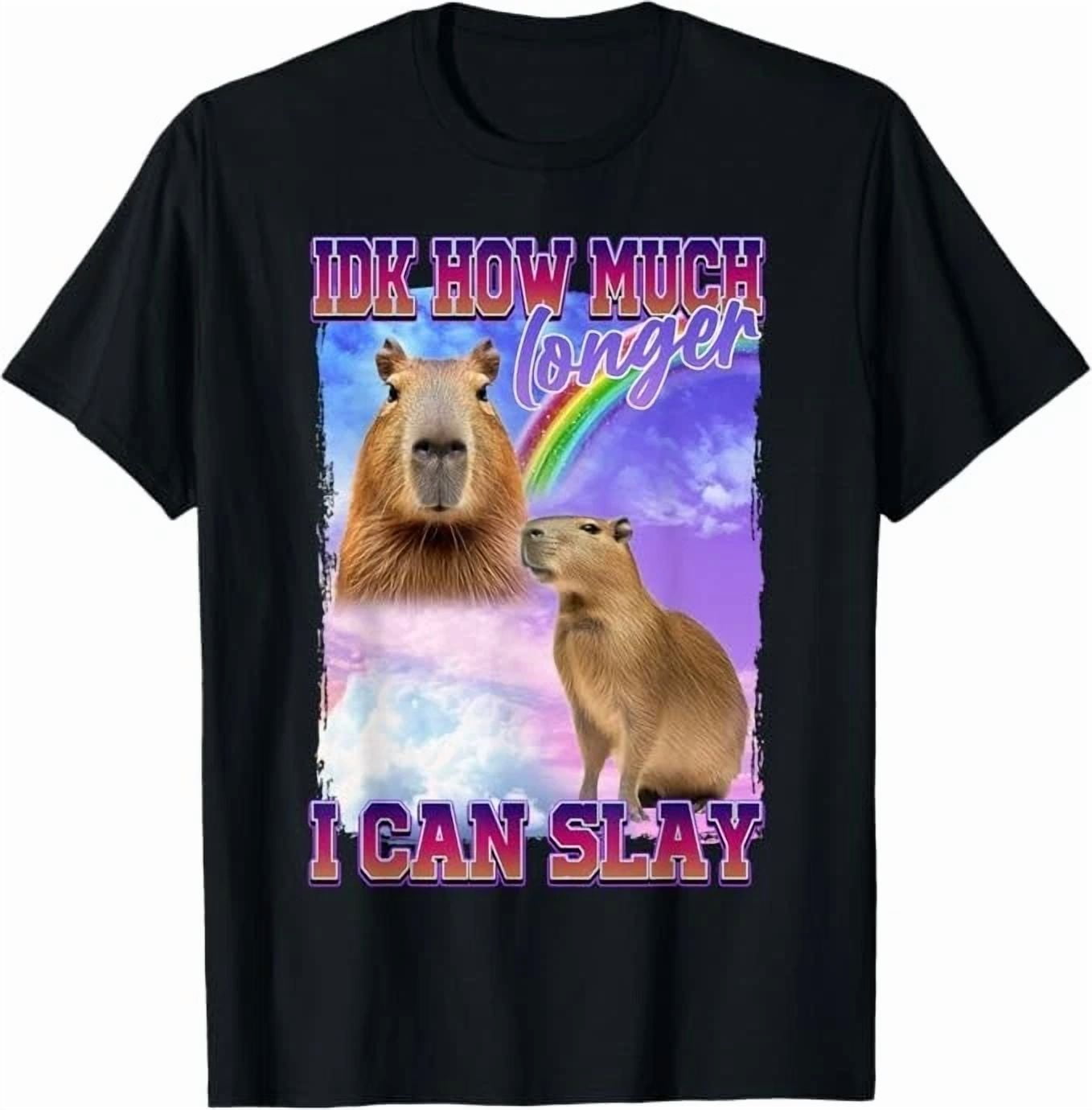 Idk How Much Longer I Can Slay Capybara Unisex T-Shirt up to size 5XL ...