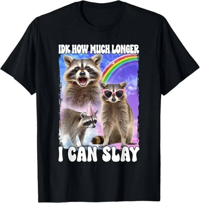 Idk How Much Longer I Can Slay Meme Raccoon Funny Art Graphic Tee Shirt ...