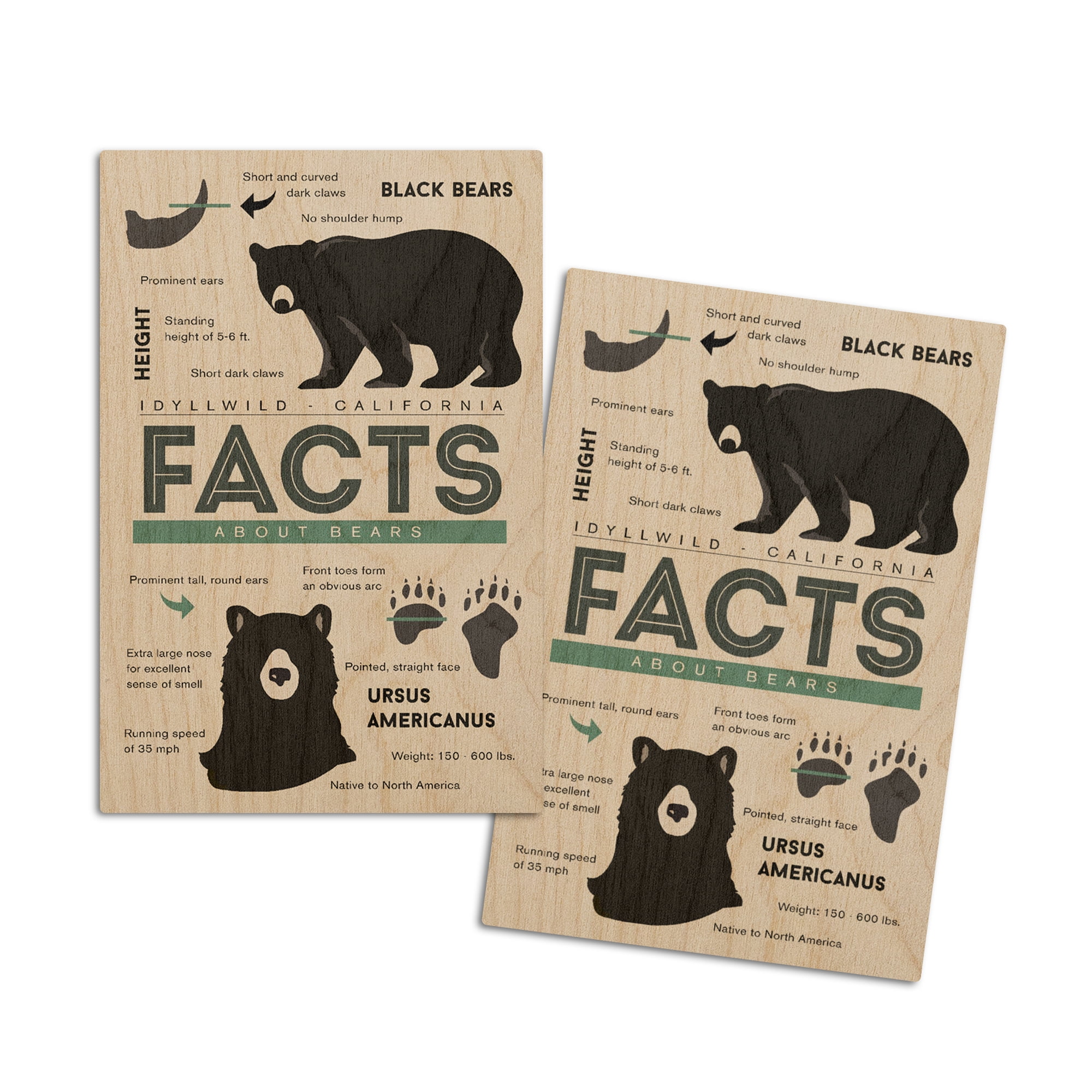 Idyllwild, California, Facts about Black Bears (4x6 Birch Wood ...