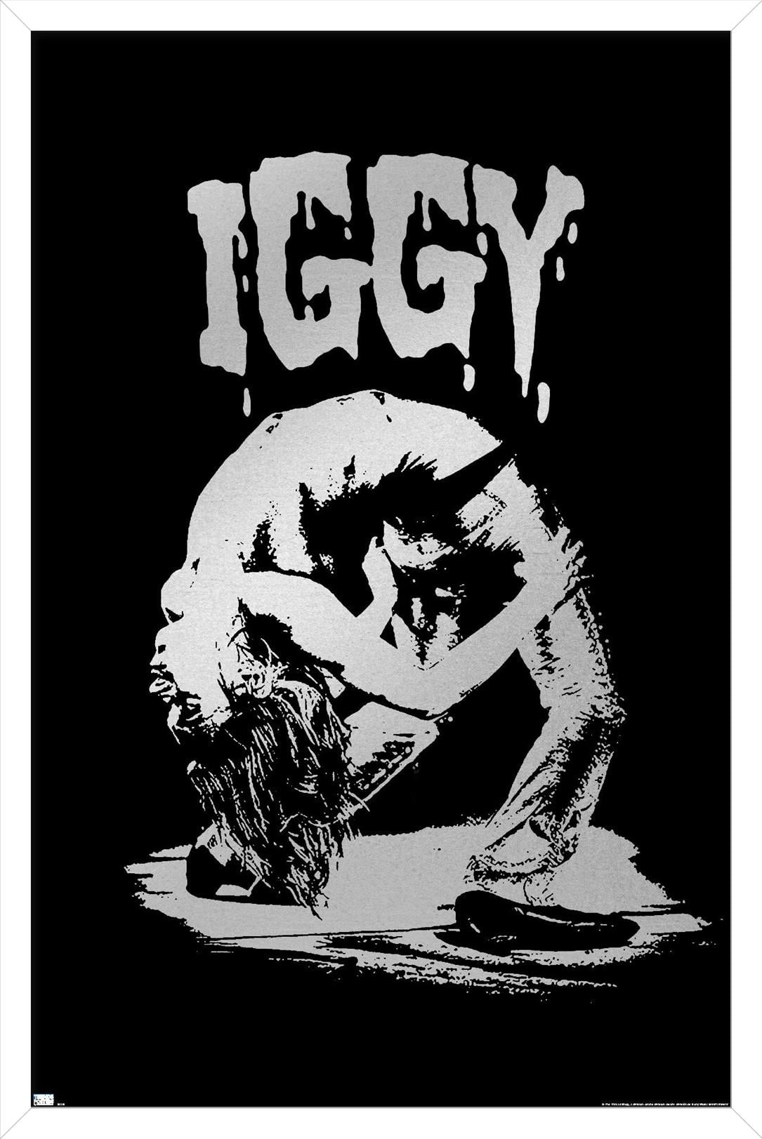 Iggy Pop - Pose Wall Poster, 22.375" x 34", Framed - Walmart.com