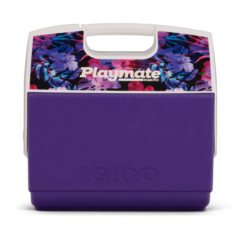 Igloo 16 Quart Playmate Elite Hardsided Cooler, Digital Purple ...