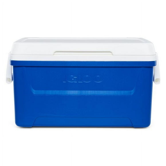 Foam Cooler Box