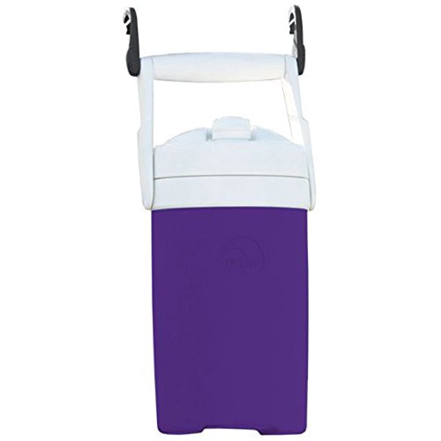 Igloo Sport Cooler With Hooks, Purple, 12 Gal - Walmart.com