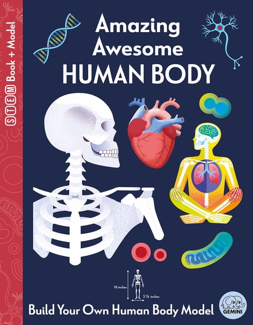 Ignite Stem Book + Model Kit Amazing Awesome Human Body, (Paperback ...