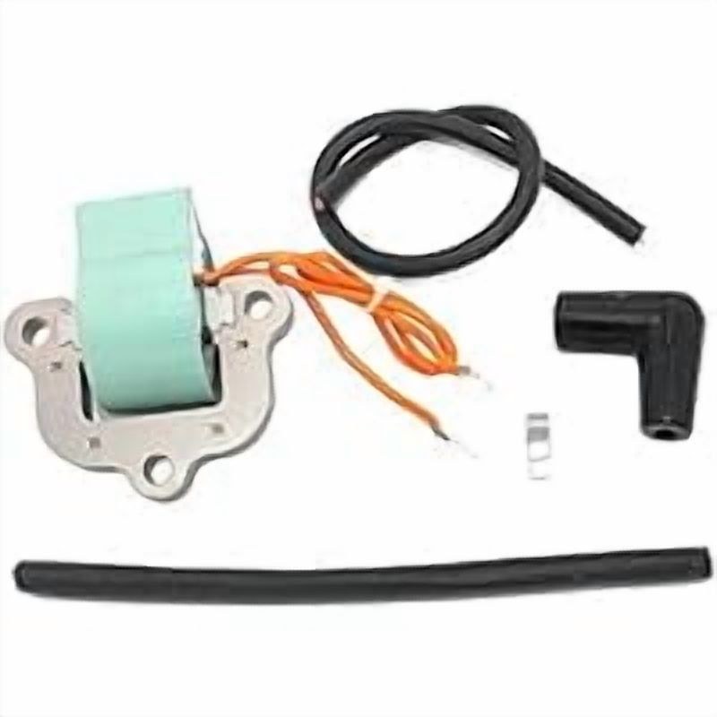 Ignition Coil Module Replacement for Johnson Evinrude Outboard 50HP ...