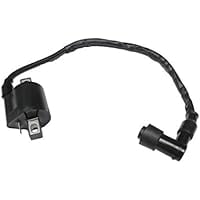 Ignition Coil Replacement for ATV, Compatible with Raptor 50 YFM50 ...