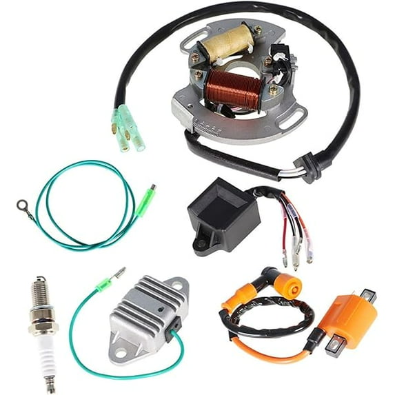 Ignition Coil, Spark Plug, CDI, Regulator and Stator Replacement ...