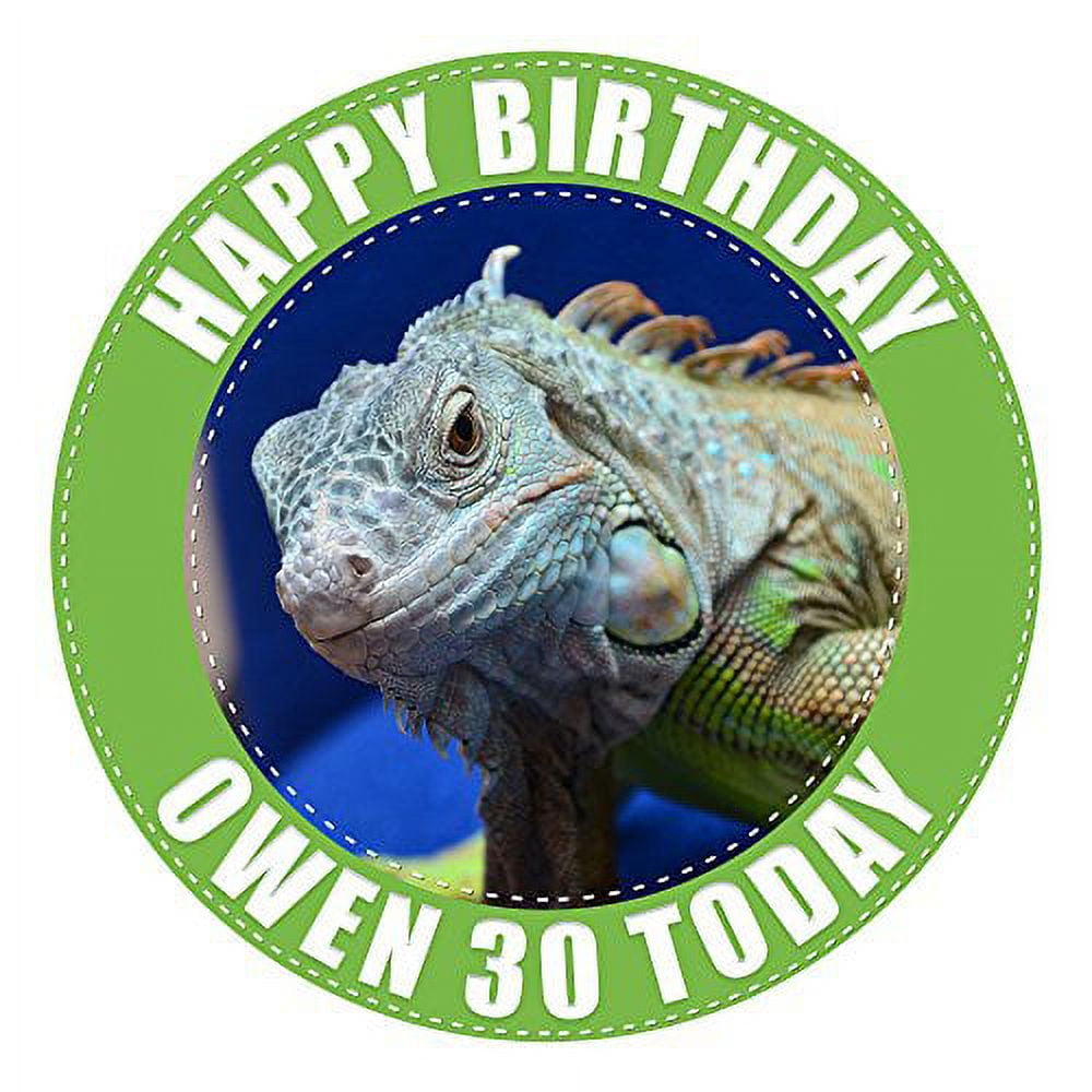 Iguana Lizard Cake Topper 7.5 Inch PERSONALISED Edible on Icing Sheet ...