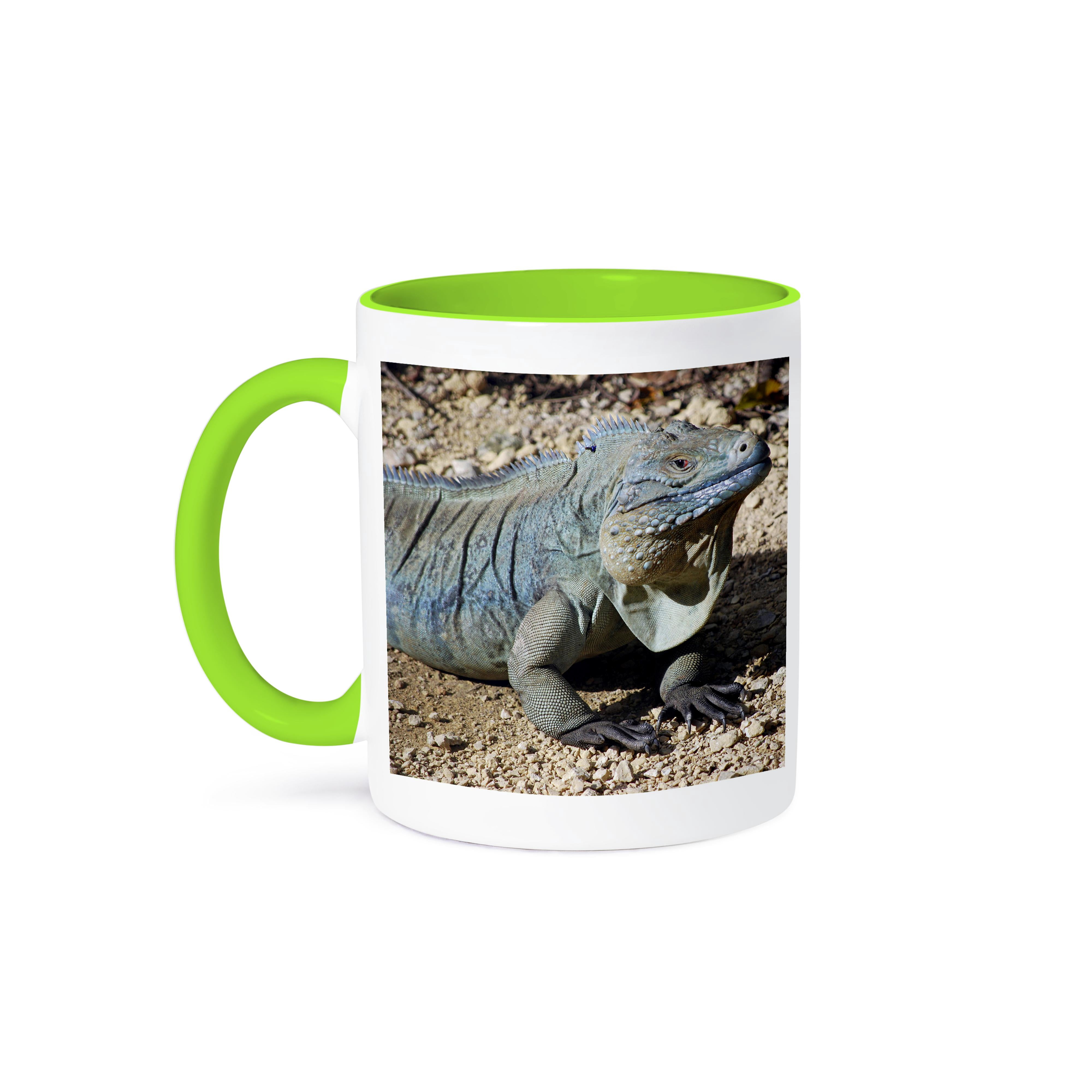 Iguana Lizard, Queen Elizabeth Ii Park, Grand Cayman-Ca42 Lse0015 ...
