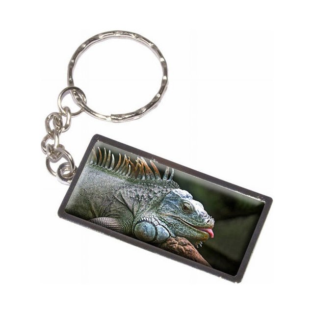 Iguana Lizard Reptile Tongue Keychain Key Chain Ring - Walmart.com