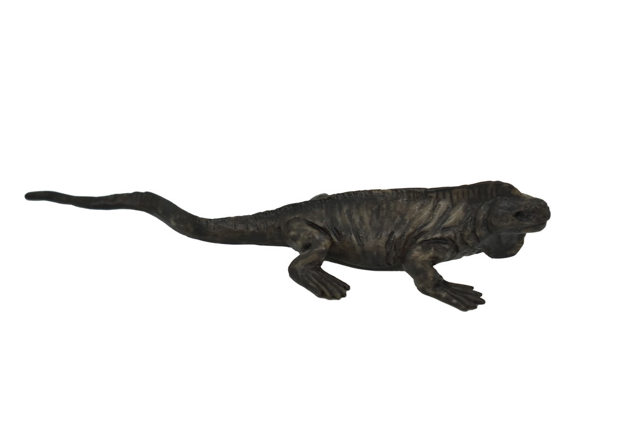 Iguana, Marine Galapagos Islands Realistic Toy Model Plastic Replica ...