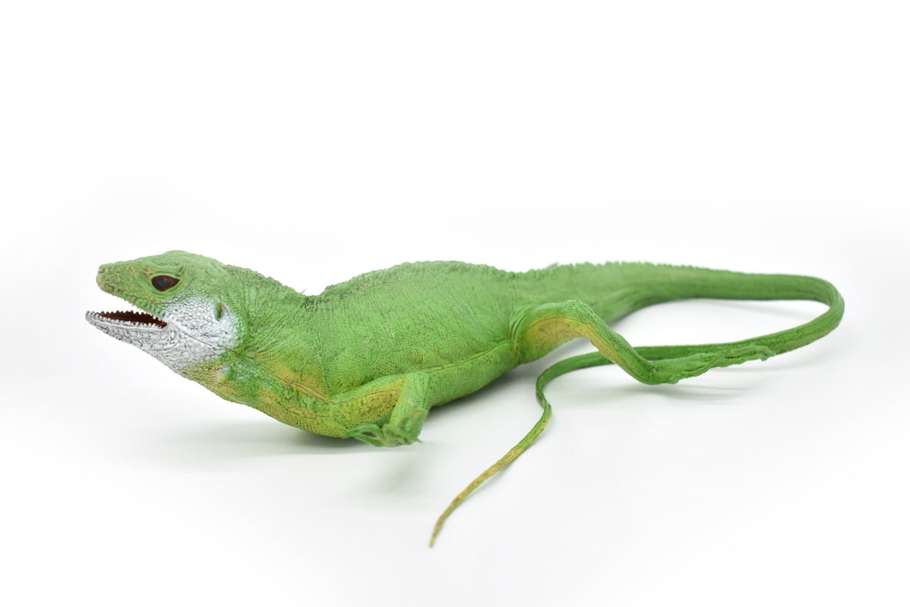 Iguana, Museum Quality, Rubber Reptile, Toy, Educational, Realistic ...