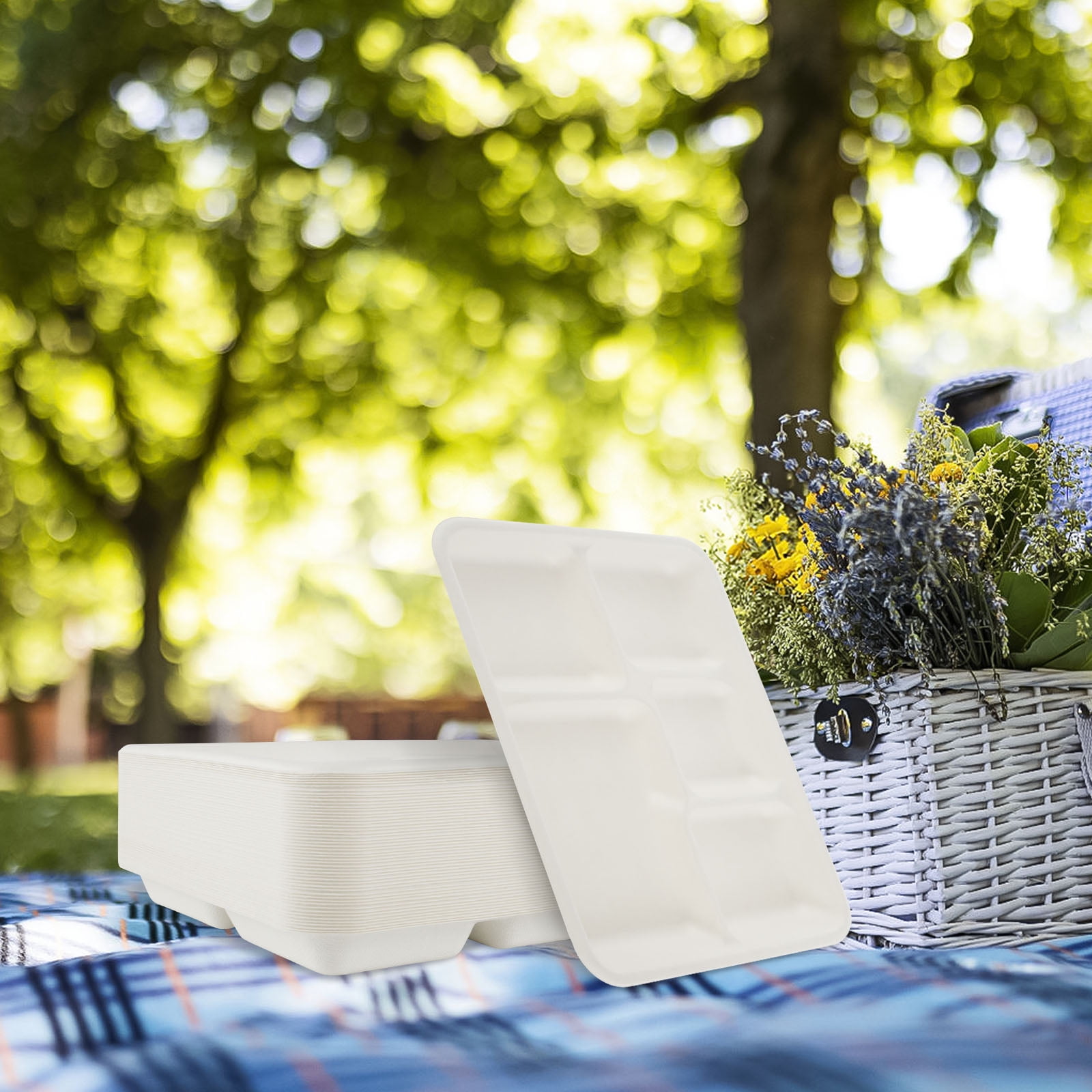 Ihvewuo 50pcs Sugarcane Plate 5 Compartments Paper Plate Eco-friendly ...