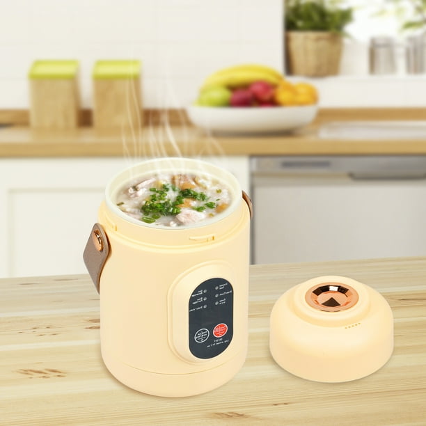 Ihvewuo Non Stick Mini Hot Water Heater with Temperature Control Multi Function Small Electric Kettle Safe Personal Health Stew Pot for Coffee Walmart Business Supplies