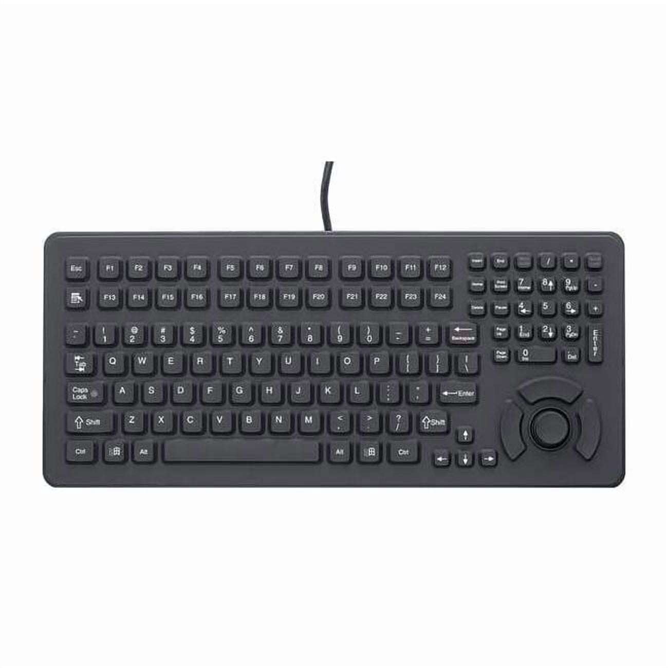 Ikey Full-Size Rugged Industrial Keyboard DU-5K-FSR-USB: Computer ...