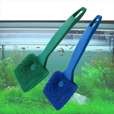 Josh's Frogs Terrarium Cleaning Sponge (4 Pack) - Walmart.com