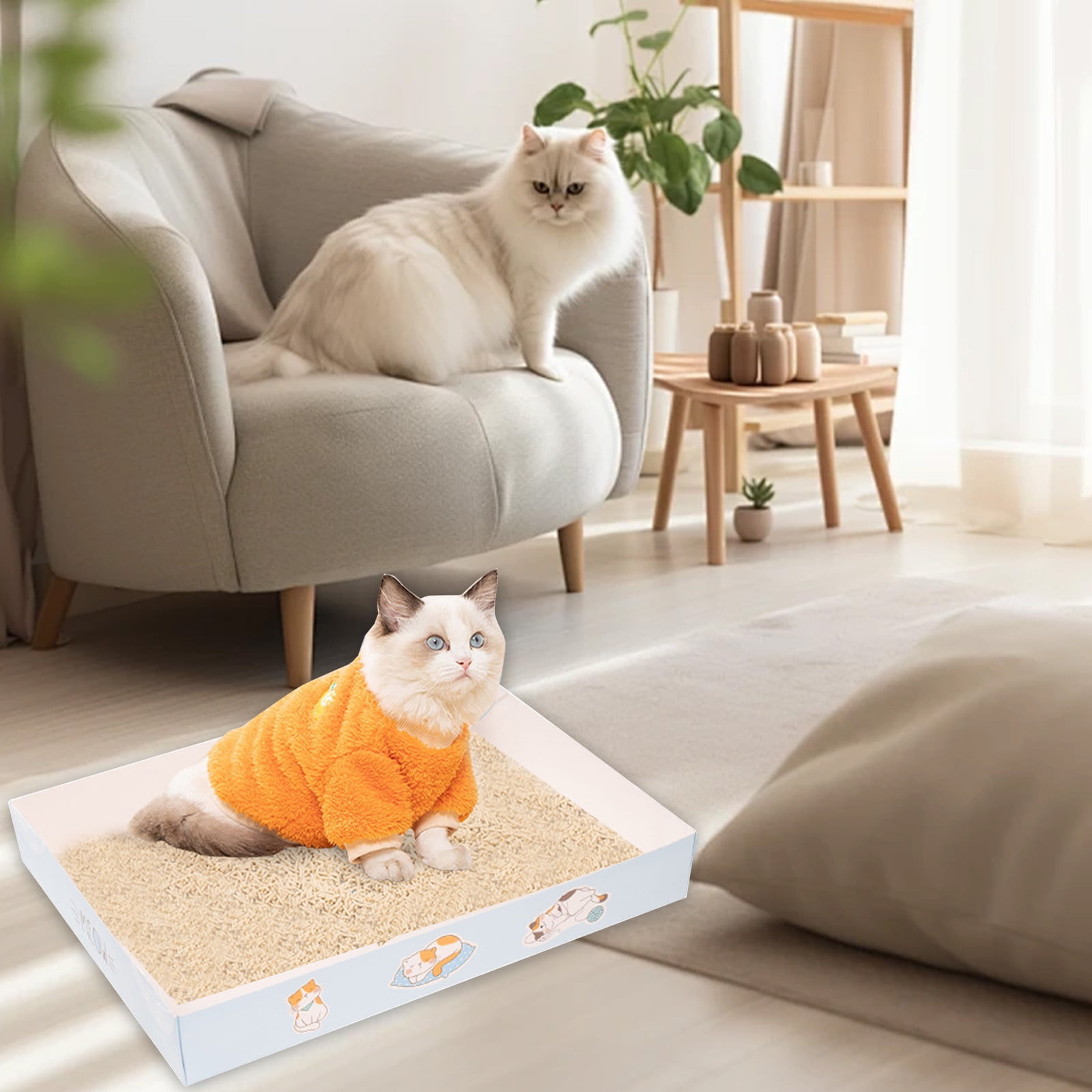 Ikohbadg One Time Portable Cats Litter Box for Travel Folding Large ...