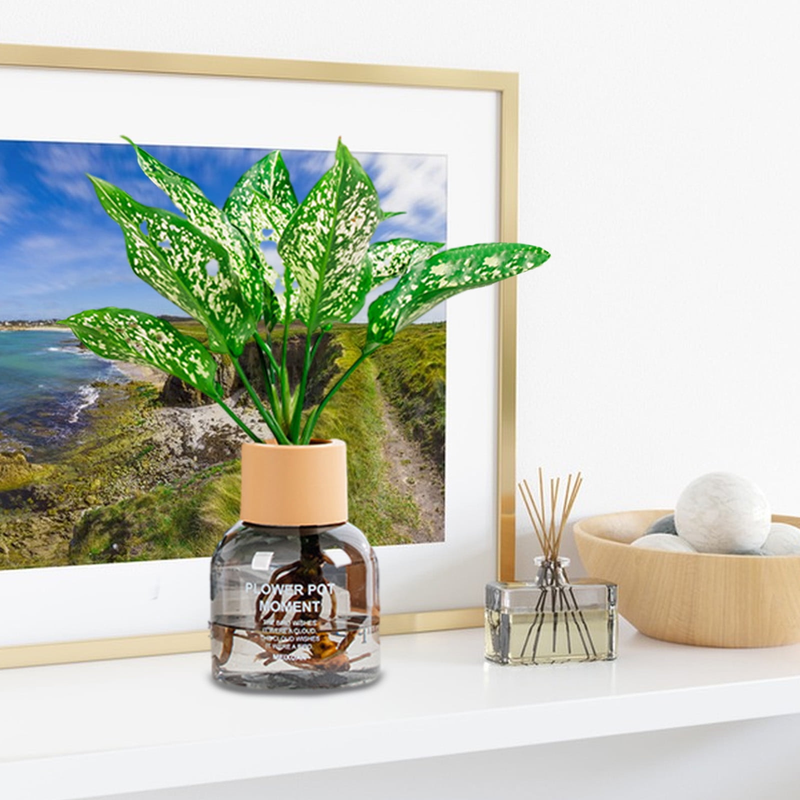 Ikohbadg Transparent Hydroponic Containers for Easy Indoor Gardening ...