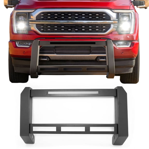 Ford Brush Guard