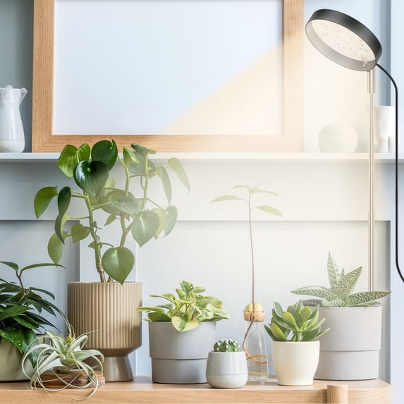 Ikoopy Grow Light for Indoor Plant Full Spectrum 10 Level Brightness ...