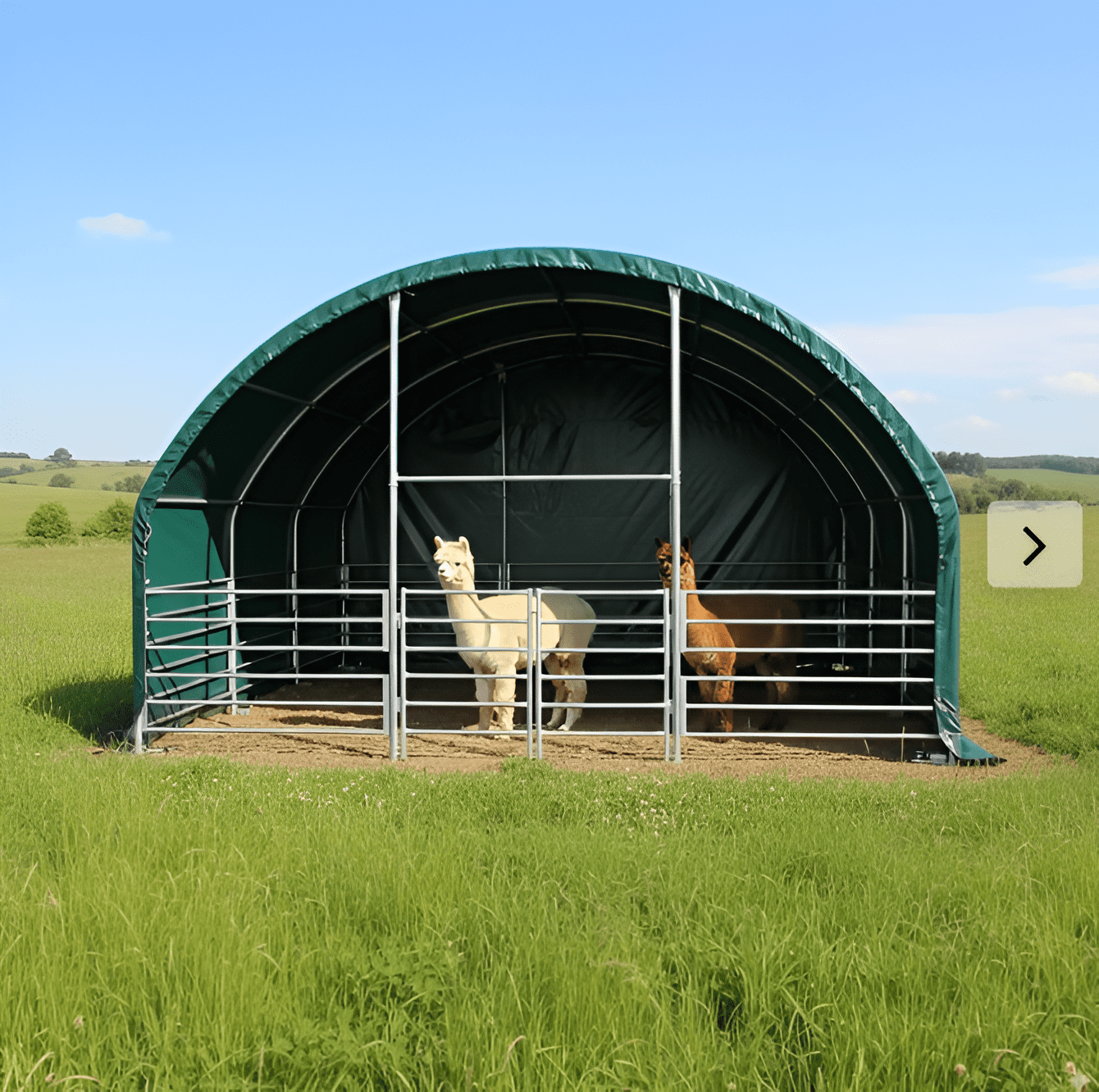 Ikuby 20ft x 20ft Livestock Shelter Tent, Heavy-Duty Hot-Dip Galvanized ...