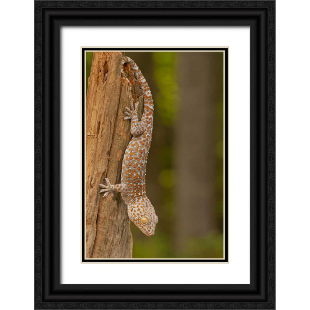 Illg, Cathy and Gordon 11x14 Black Ornate Wood Framed with Double ...