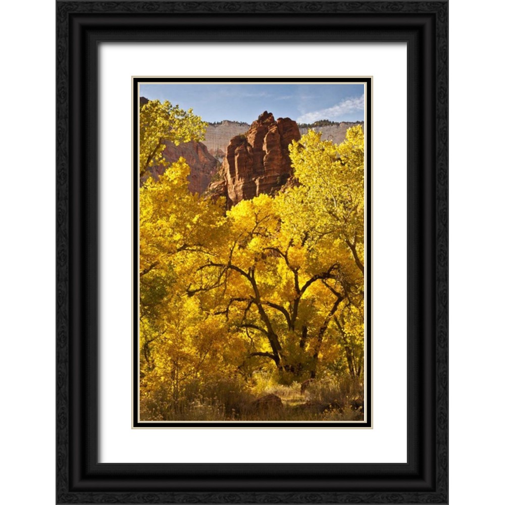 Illg, Cathy and Gordon 11x14 Black Ornate Wood Framed with Double ...