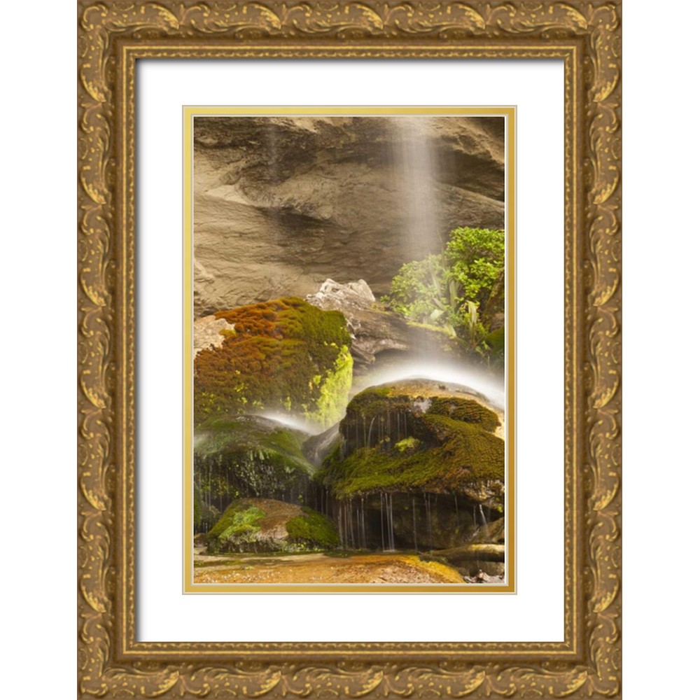 Illg, Cathy and Gordon 11x14 Gold Ornate Wood Framed with Double ...