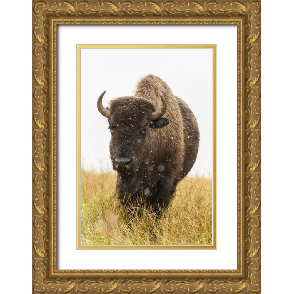 Illg, Cathy and Gordon 11x14 Gold Ornate Wood Framed with Double ...