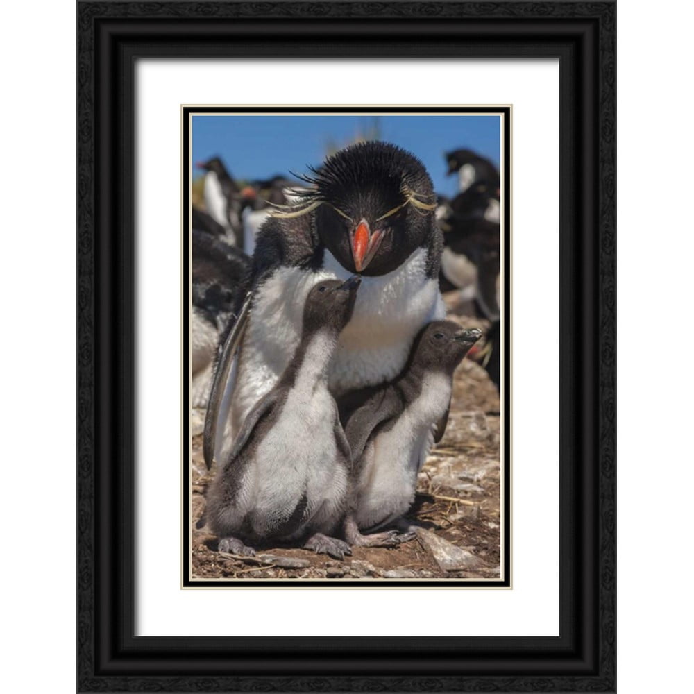 Illg, Cathy and Gordon 13x18 Black Ornate Wood Framed with Double ...