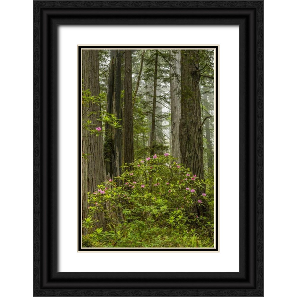 Illg, Cathy and Gordon 13x18 Black Ornate Wood Framed with Double ...