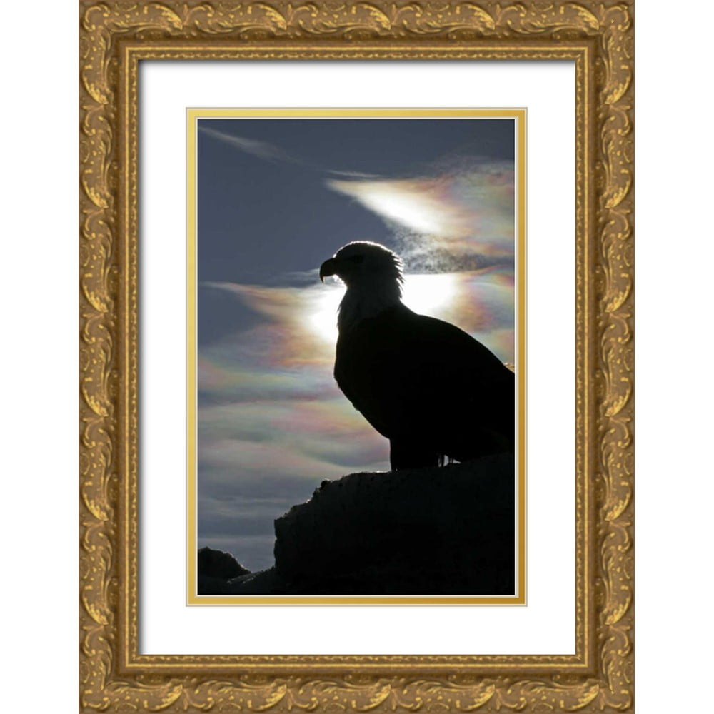 Illg, Cathy and Gordon 13x18 Gold Ornate Wood Framed with Double ...