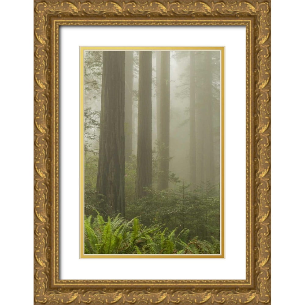 Illg, Cathy and Gordon 13x18 Gold Ornate Wood Framed with Double ...