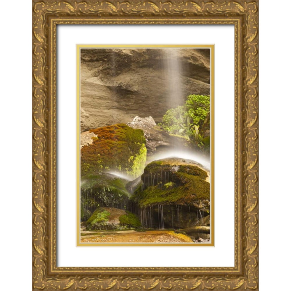 Illg, Cathy and Gordon 13x18 Gold Ornate Wood Framed with Double ...