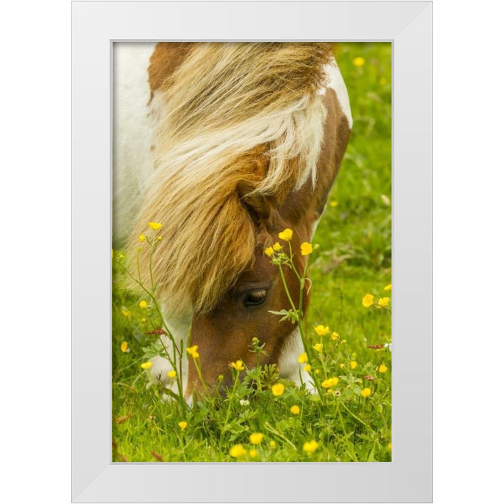 Illg, Cathy and Gordon 13x18 White Modern Wood Framed Museum Art Print ...