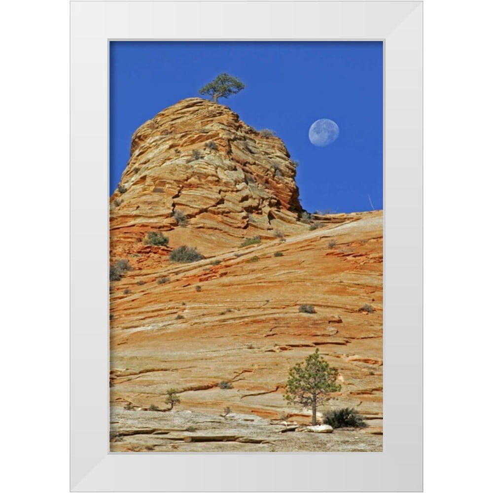Illg, Cathy and Gordon 13x18 White Modern Wood Framed Museum Art Print ...