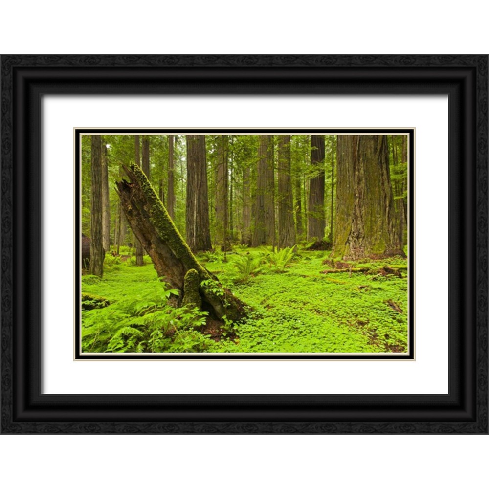Illg, Cathy and Gordon 14x11 Black Ornate Wood Framed with Double ...