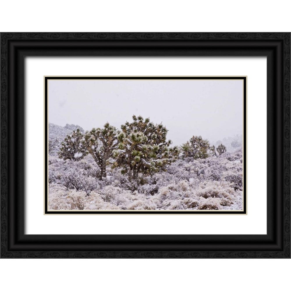 Illg, Cathy and Gordon 14x11 Black Ornate Wood Framed with Double ...