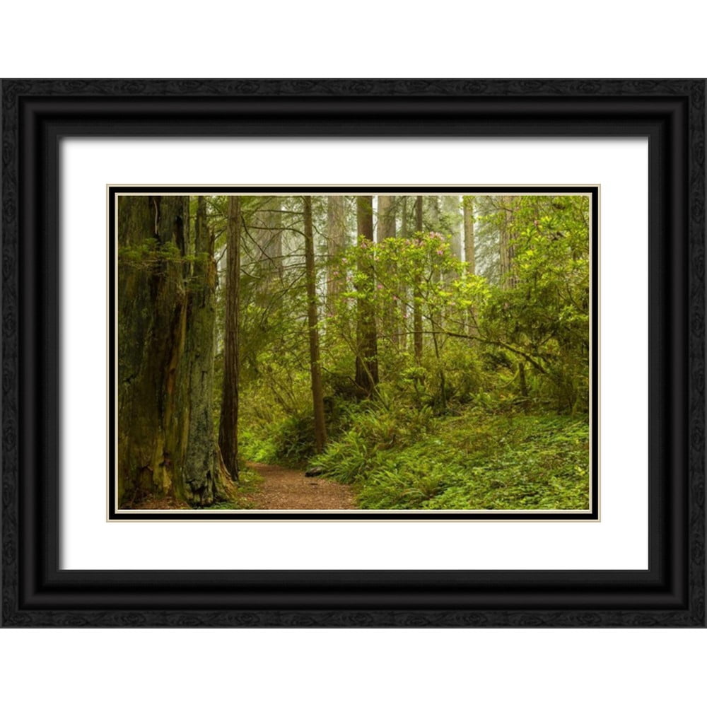 Illg, Cathy and Gordon 14x11 Black Ornate Wood Framed with Double ...