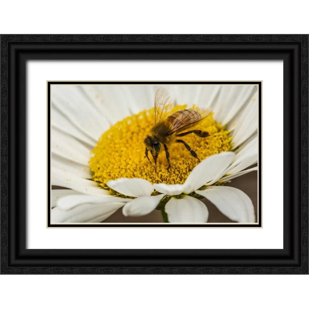 Illg, Cathy and Gordon 14x11 Black Ornate Wood Framed with Double ...