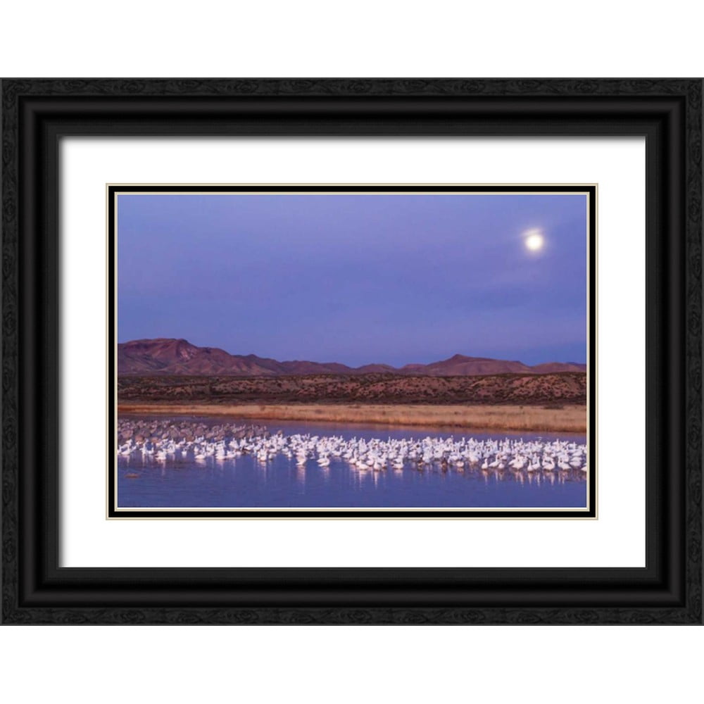 Illg, Cathy and Gordon 14x11 Black Ornate Wood Framed with Double ...