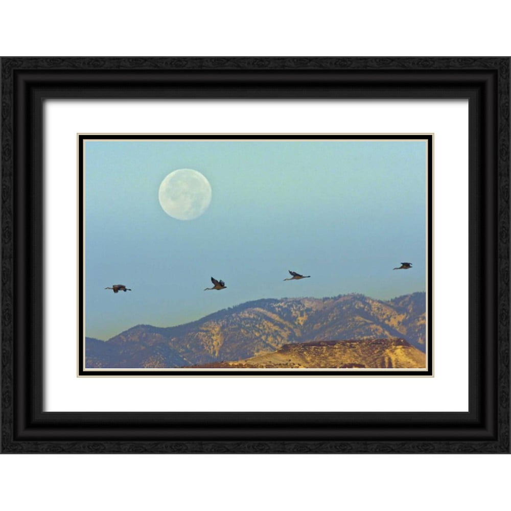 Illg, Cathy and Gordon 14x11 Black Ornate Wood Framed with Double Matting Museum Art Print ...