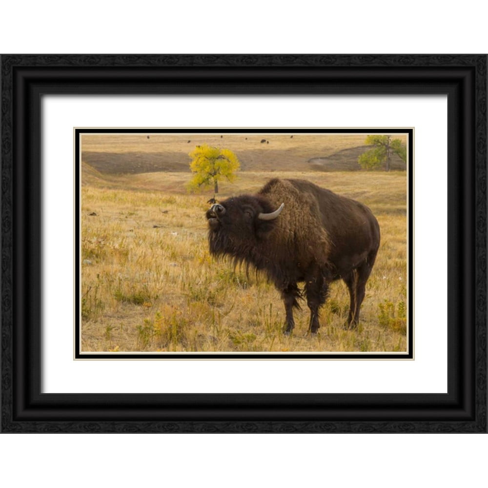 Illg, Cathy and Gordon 14x11 Black Ornate Wood Framed with Double ...