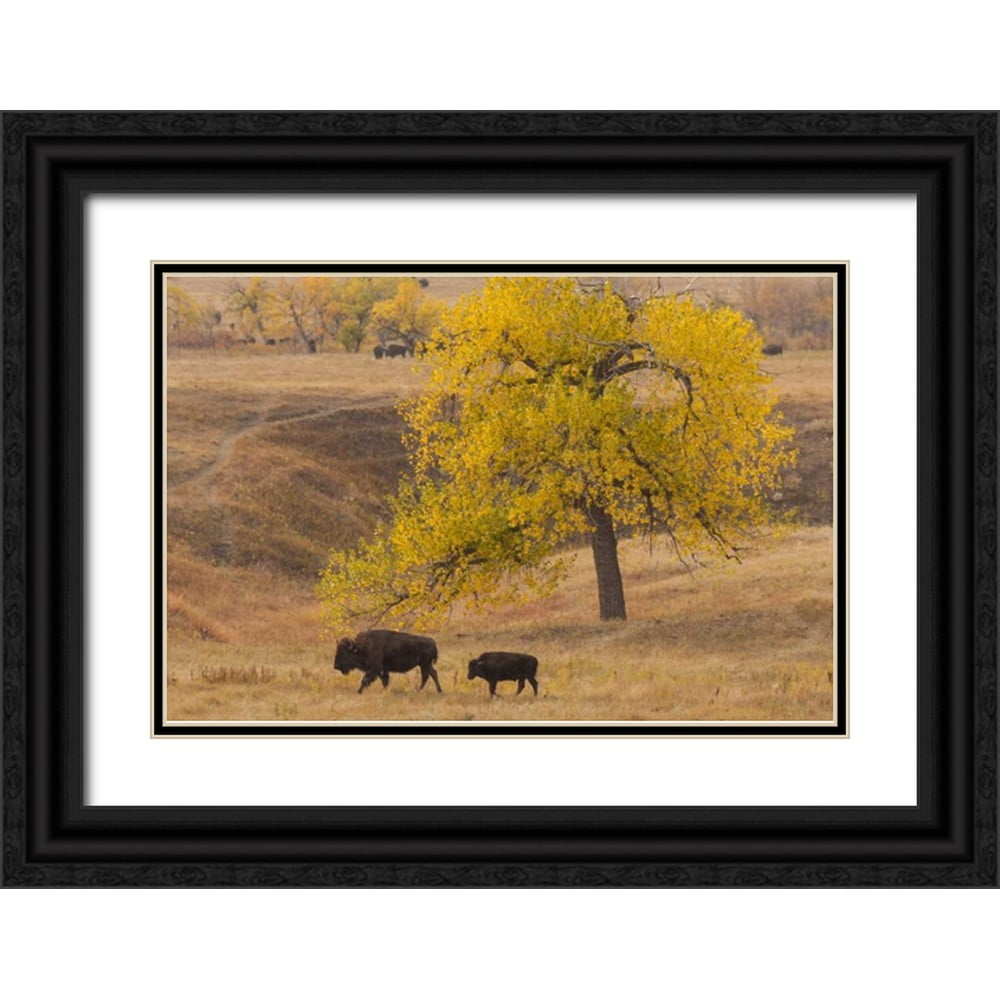 Illg, Cathy and Gordon 14x11 Black Ornate Wood Framed with Double ...